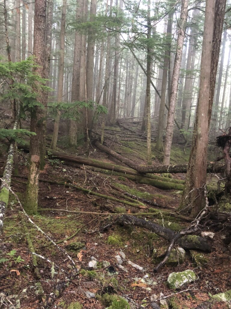 Alex's Outdoor Photography – Welcome to my outdoor blog!